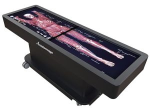 Anatomage Table – Southeast Region Career and Technology Center